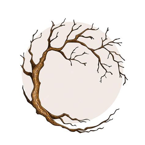 Premium Vector Circle Tree Bare Leafless Tree With Empty Branches