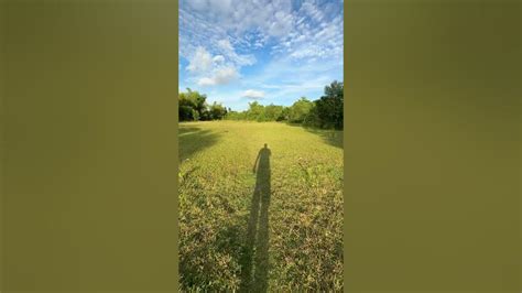 Wemby Be Like 👽 Shadow Sunset Landscape Farm Lawn Field Realestate Greengrass Wemby