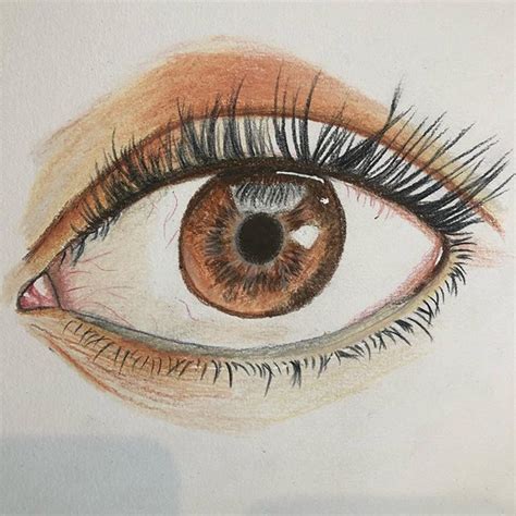 Brown Eye Drawing