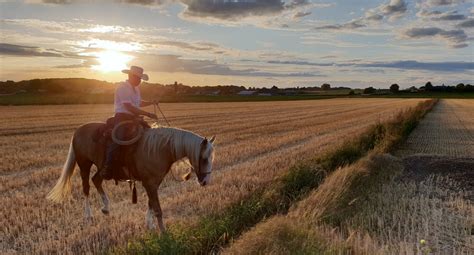 Wat Is Parelli • Parelli Team Belgium