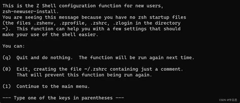 Windows离线安装oh My Zshwidows安装配置zsh Csdn博客