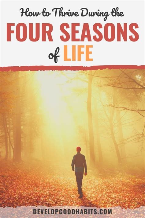 Four Seasons Of Life How To Thrive Seasons Lessons Seasons Of Life
