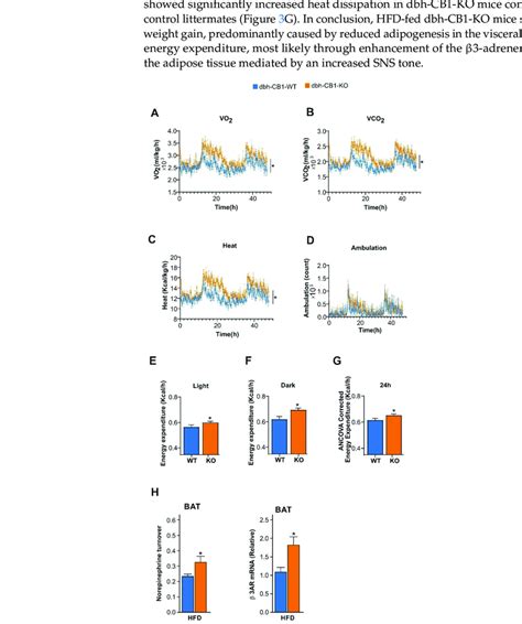 Dbh Cb1 Ko Mice Show Increased Energy Expenditure On Hfd A