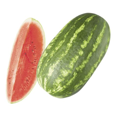 Wassermelone Groß Von Aldi Nord Ansehen