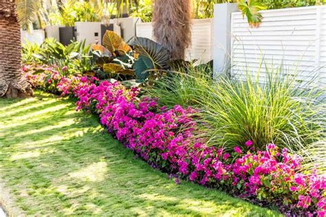 The 17 Best Plants To Grow In Zone 8b 15 To 20 °f 94 To 67 °c