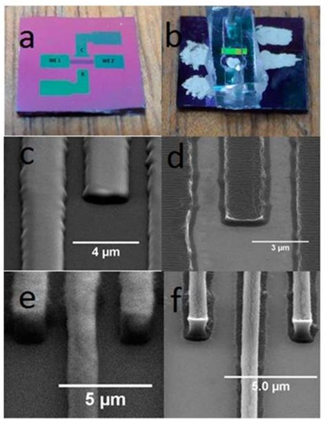 Figure 1 From Micro And Nano Interdigitated Electrode Array Idea