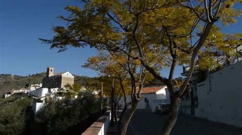 Benaque Bilder Bläddra Bland 35 Stockfoton Vektorer Och Videor