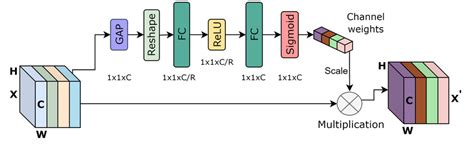 Architecture Of The Se Net Module [15] Download Scientific Diagram