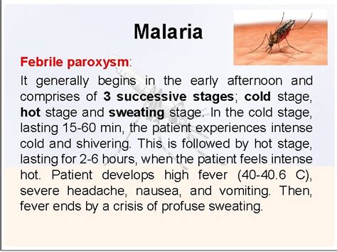 Malaria Malaria Sporozoa Belong To The Phylum Apicomplex