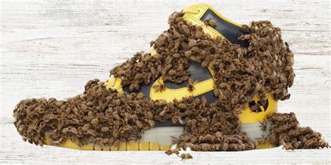 The Nike Dunk High Wu Tang Is The Biggest Re Release Of The Decade Captain Creps