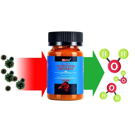 Nitrifying Bacterias Powder High Activity Biological Purification Safe