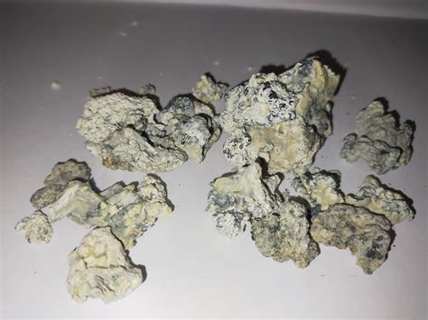 Enigma P Cubensis Mutation Rdrugsarebeautiful