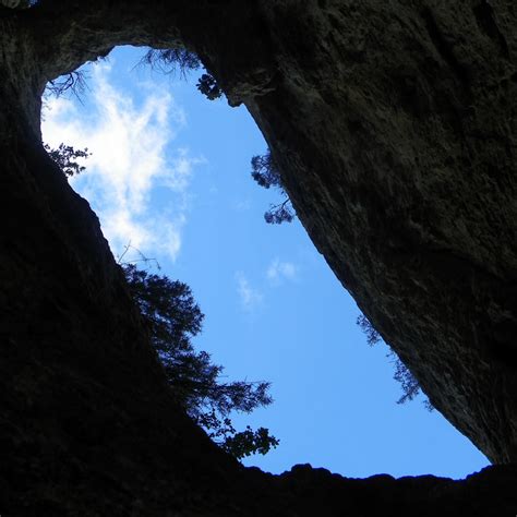 Zero Et And Jake Knights Et Fruits