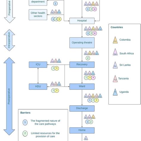 Figure Generic Patient Pathway Highlighting The Presence Of Barriers