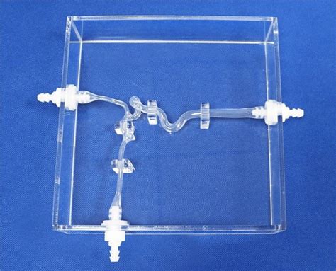 Common Carotid Diagram Models External Carotid Artery Ho