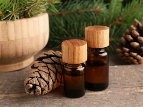 Pinetastic 10 Pine Diffuser Blends To Try