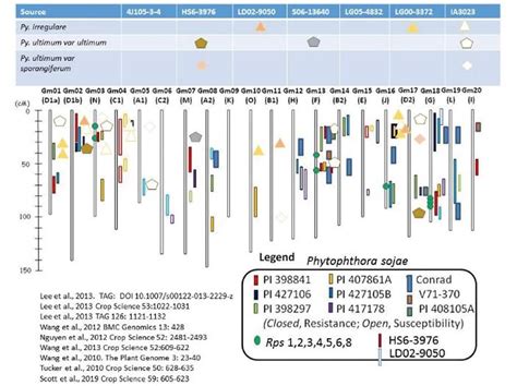 Confirmation Characterization And Deployment Of The Perfect Markers