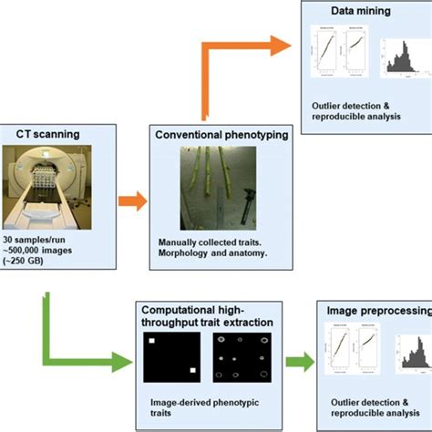 overview of the high throughput digital phenotyping imaging pipeline