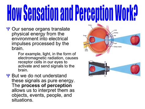 Sensation And Perception Pdf