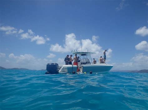 Sonic Charters Here Are Some Photos From The Weekends