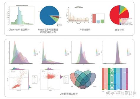 Ribo Seq—检测正在翻译的rna信息 连接转录组学与蛋白质组学的桥梁 知乎