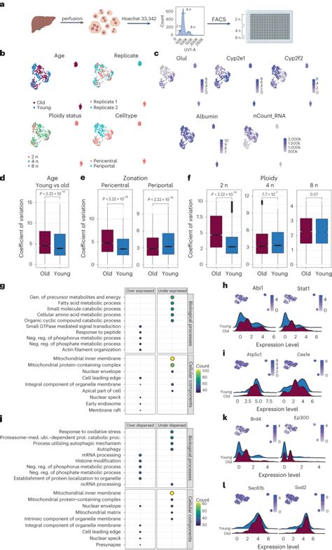 Spatial And Single Cell Profiling Of The Metabolome Transcriptome And