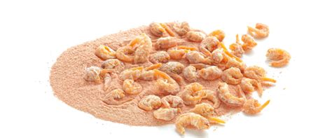 Chitosano Serve A Dimagrire Santagostino Magazine