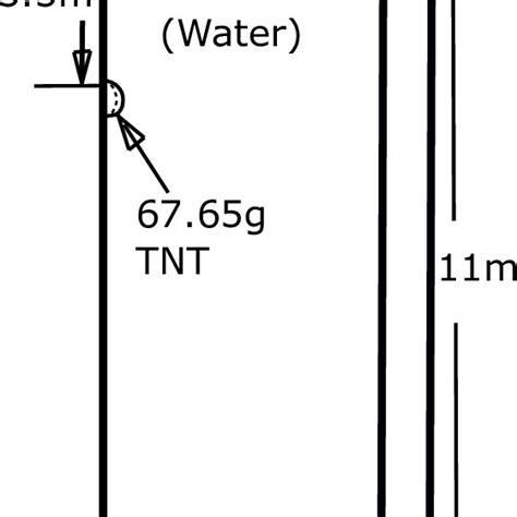 Setup For 67 65g Tnt Bubble Motion Download Scientific Diagram