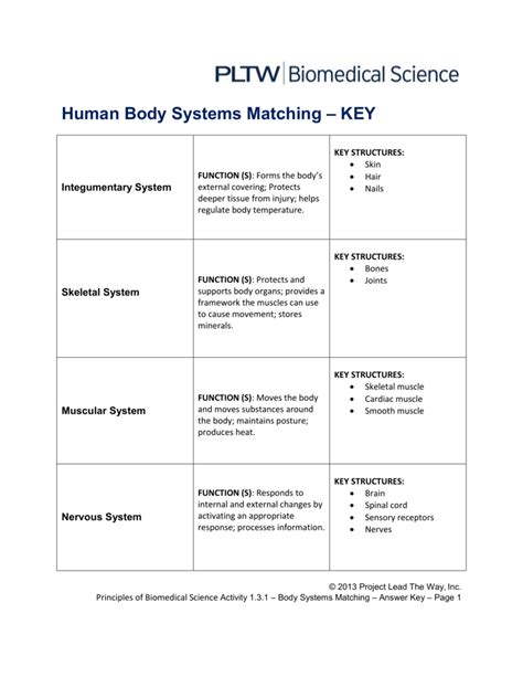 Human Body Systems Worksheet Answer Key — Db