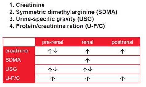 Assessment Of Renal Function Using Laboratory Parameters