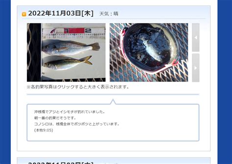 本牧海釣り施設でイシモチ＆アジ うみづり研究所