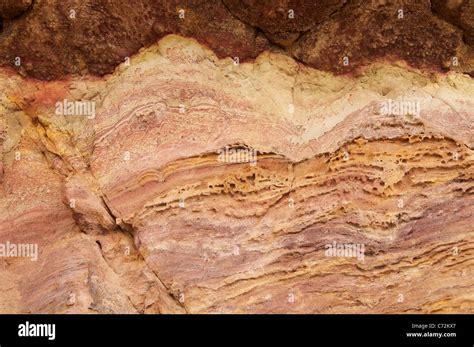 What Are Sedimentary Beds At Wendy Rodgers Blog