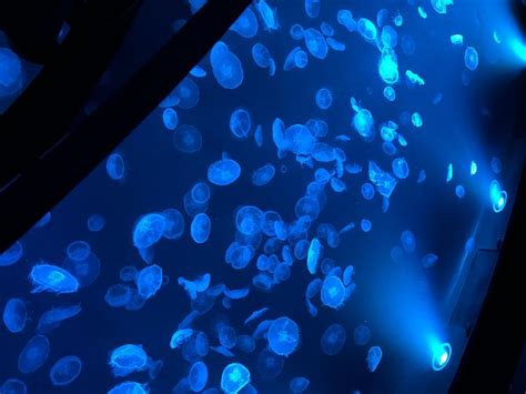 C语言main函数的正确写法 知乎 C语言main函数的正确写法 知乎