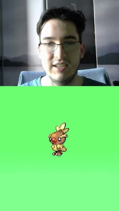 ¡fusiÓn De Torchic Con Pidgey Youtube