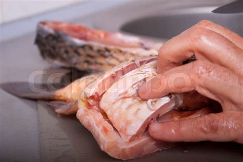 Cutting Fish Stock Image Colourbox