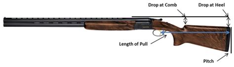 Shotgun Stock Fitting Get It To Hit Where You Look