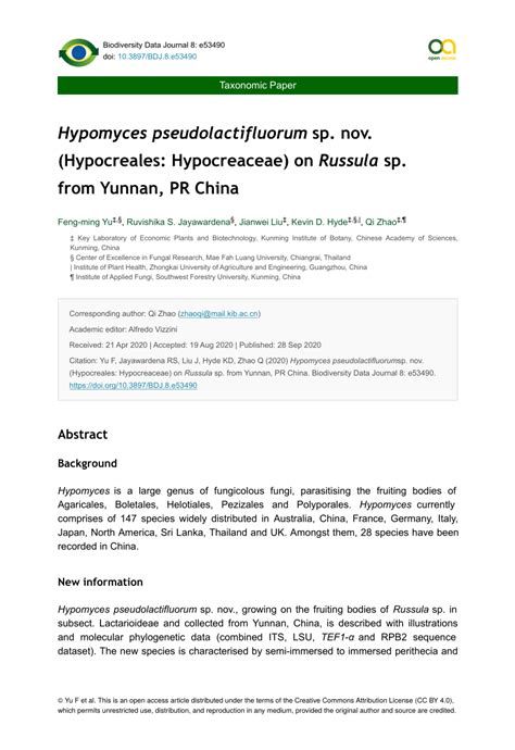 Pdf Hypomyces Pseudolactifluorum Sp Nov Hypocreales Hypocreaceae On Russula Sp From