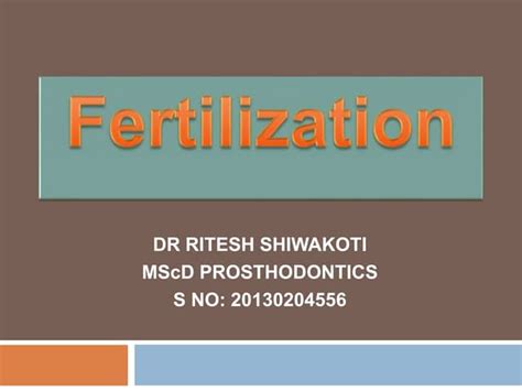 Fertilization In Sea Urchin Pptx