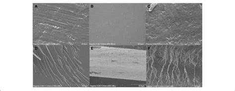 A Scanning Electron Microscopy Sem Plan View Of Epoxy Acrylic Download Scientific Diagram