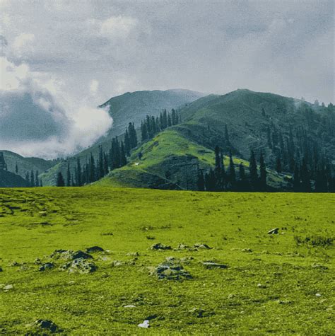 Siri Paye Meadows Height Location Jeep Fare TripMaker Pk