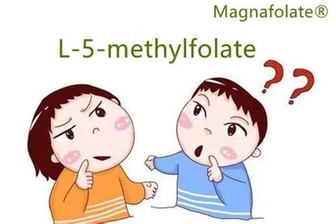 L Methylfolate Vs Folate And Folic Acid By Magnafolate Medium