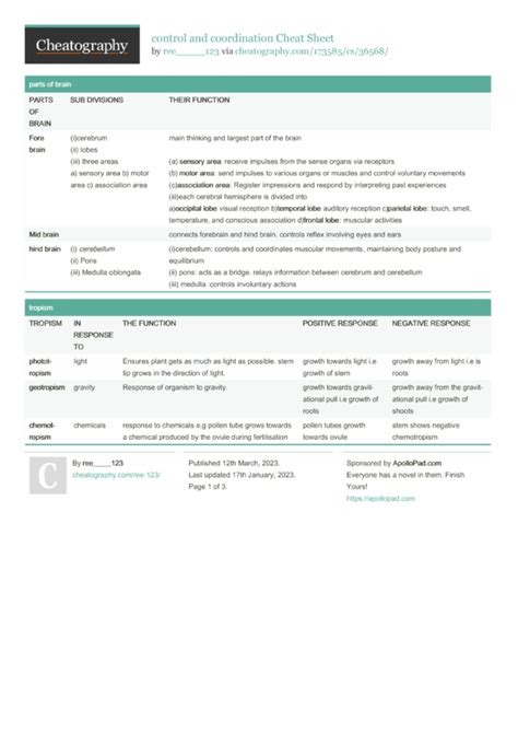 Control And Coordination Cheat Sheet By Ree123 Download Free