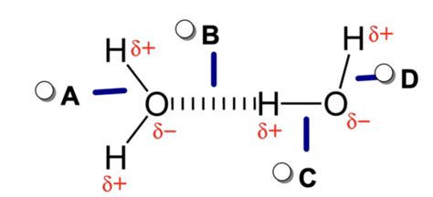 Intermolecular Forces Flashcards Quizlet Intermolecular Forces Flashcards Quizlet