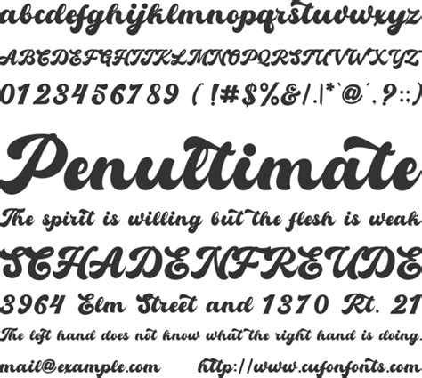 Marjane Font Download Free For Desktop And Webfont