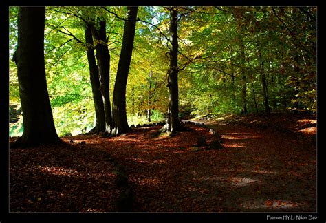 Dsc2751 宏宇 李 Flickr