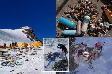 Mandatory Composting Begins For All Five Nyc Boroughs Next Week