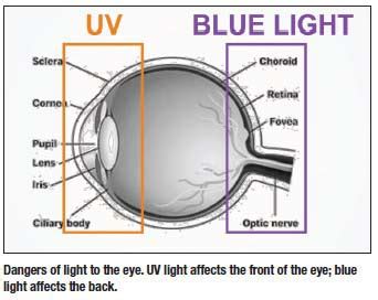 Research On Blue Light And The Affects To Your Eyes Kodak Lens Vision