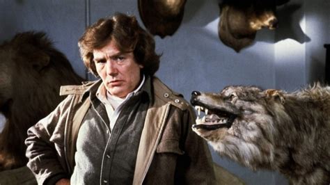 Wolfen 1981 — The Movie Database Tmdb