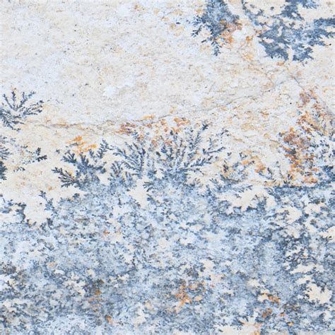 Dendrite Crystal Portraits Collectible Specimen Mini Museum