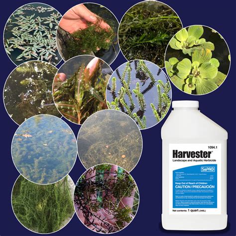 Harvester Diquat Herbicide 32 Oz